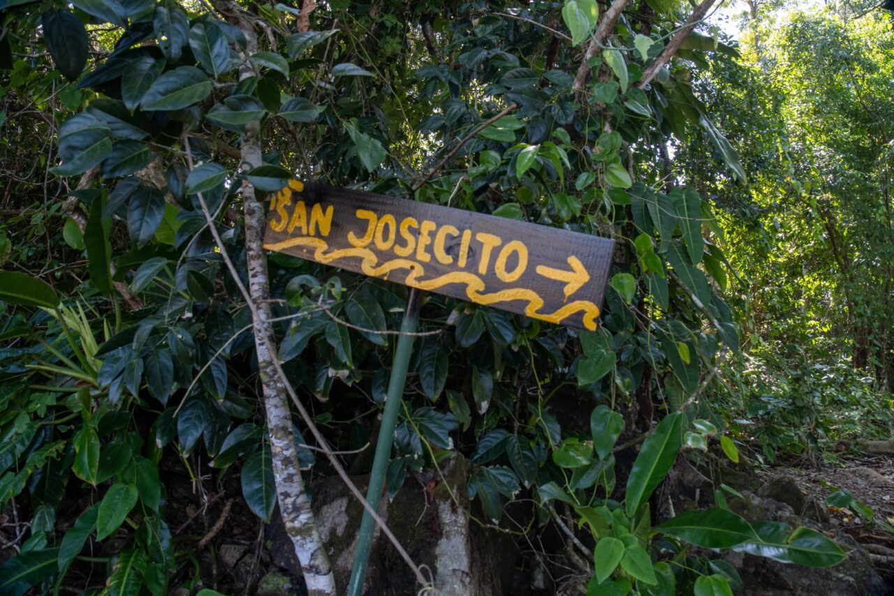 13+ Best Things to do in Drake Bay: Activities & Travel Guide - BEY OF ...